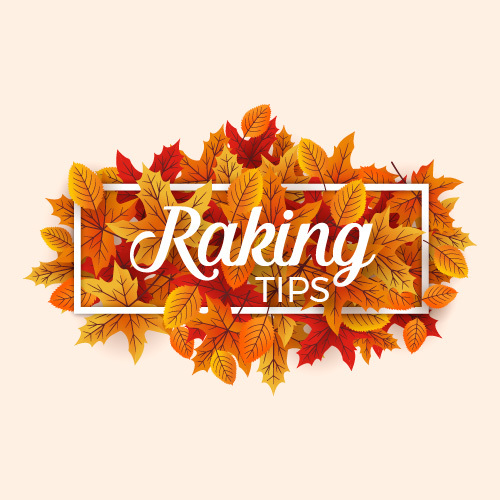 5 Tips for Safe Leaf Raking this Fall | Premier Rehab
