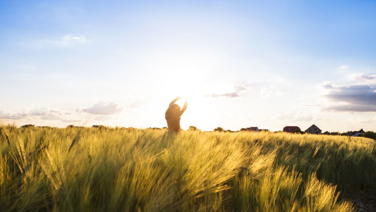 Transform Your Journey with Alchemy Wellness in Somerset