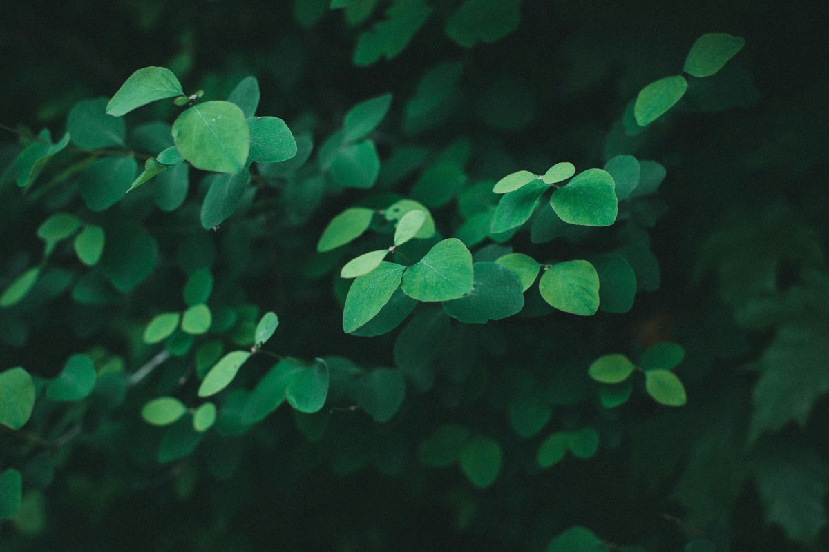 Restore Physiotherapy Edmonton | In-home Physiotherapy for Older Adults